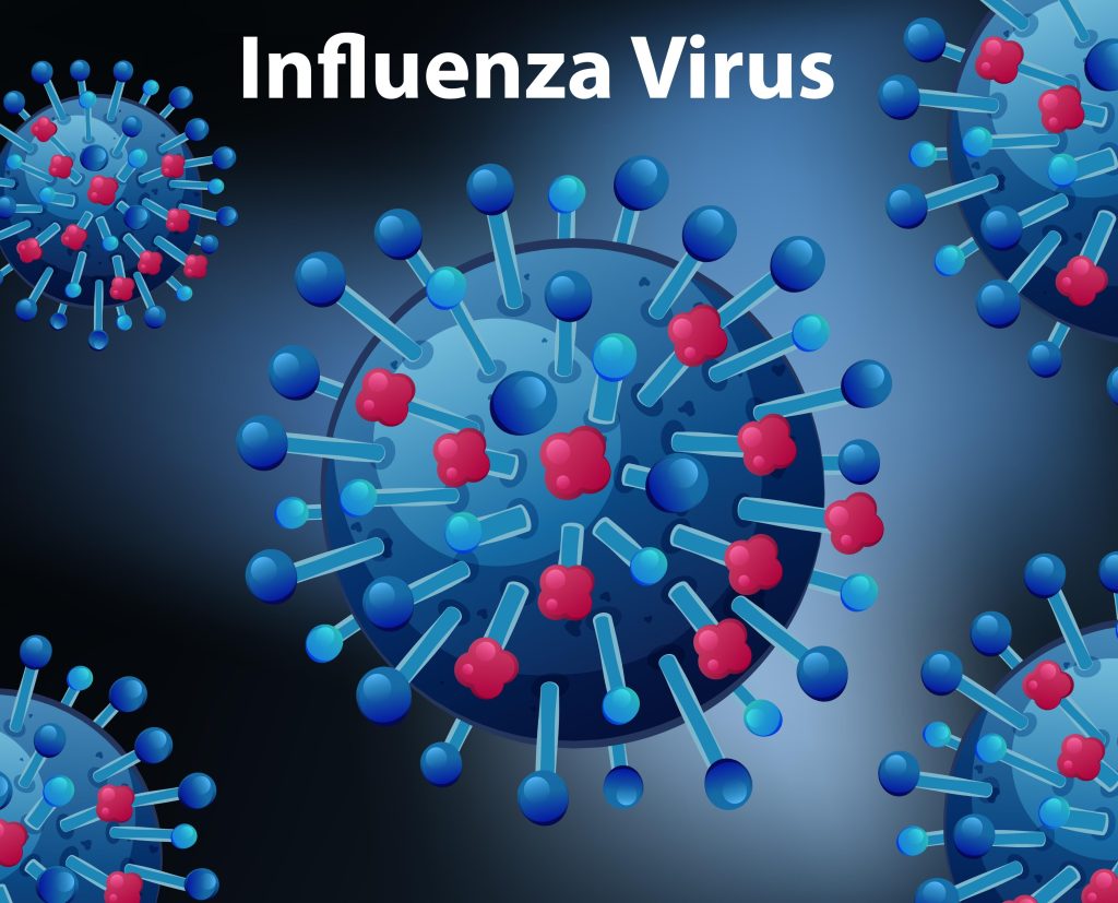 La influenza, una infección viral respiratoria aguda y altamente ...